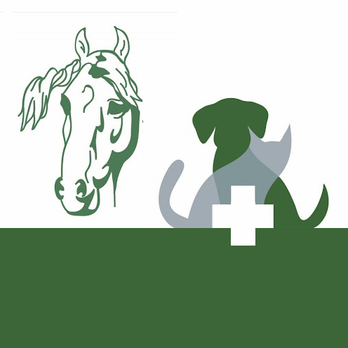 Horse Veterinarian Symbol